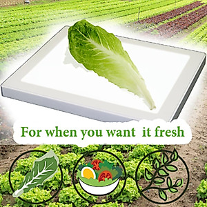 Bug Checker MAX PRO by Kosher Innovations™