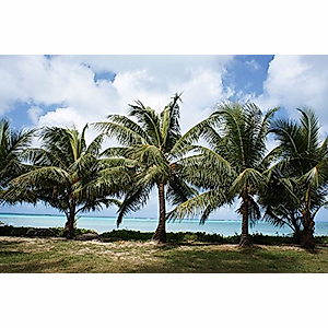 Sony SAL-28F28 28mm f/2.8 Wide Angle Lens for Sony Alpha Digital SLR Camera