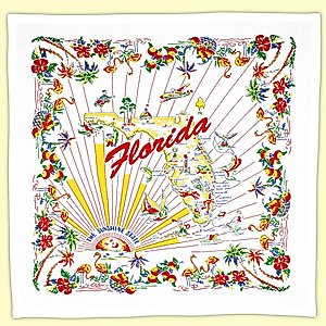 Florida State Souvenir Dish Towel