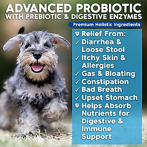 Well Loved Probiotics for Dogs, Dog Probiotics and Digestive Enzymes, Made in USA, Vet Developed, Dog Probiotic Chews with Prebiotics, Diarrhea Treatment, for Itchy Skin, Gut Health & Gas Relief