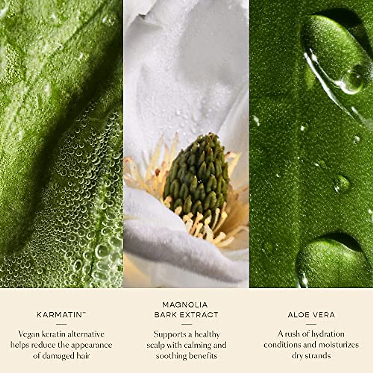 VEGAMOUR HYDR-8 Hydrate and Repair Shampoo