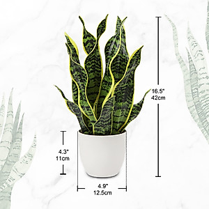 Hollyone Artificial Snake Plant Potted Faux Sansevieria Trifasciata Plants, 16.5" Tropical Fake Plants in White Pots for Home Office Room Indoor Decor Housewarming Gifts