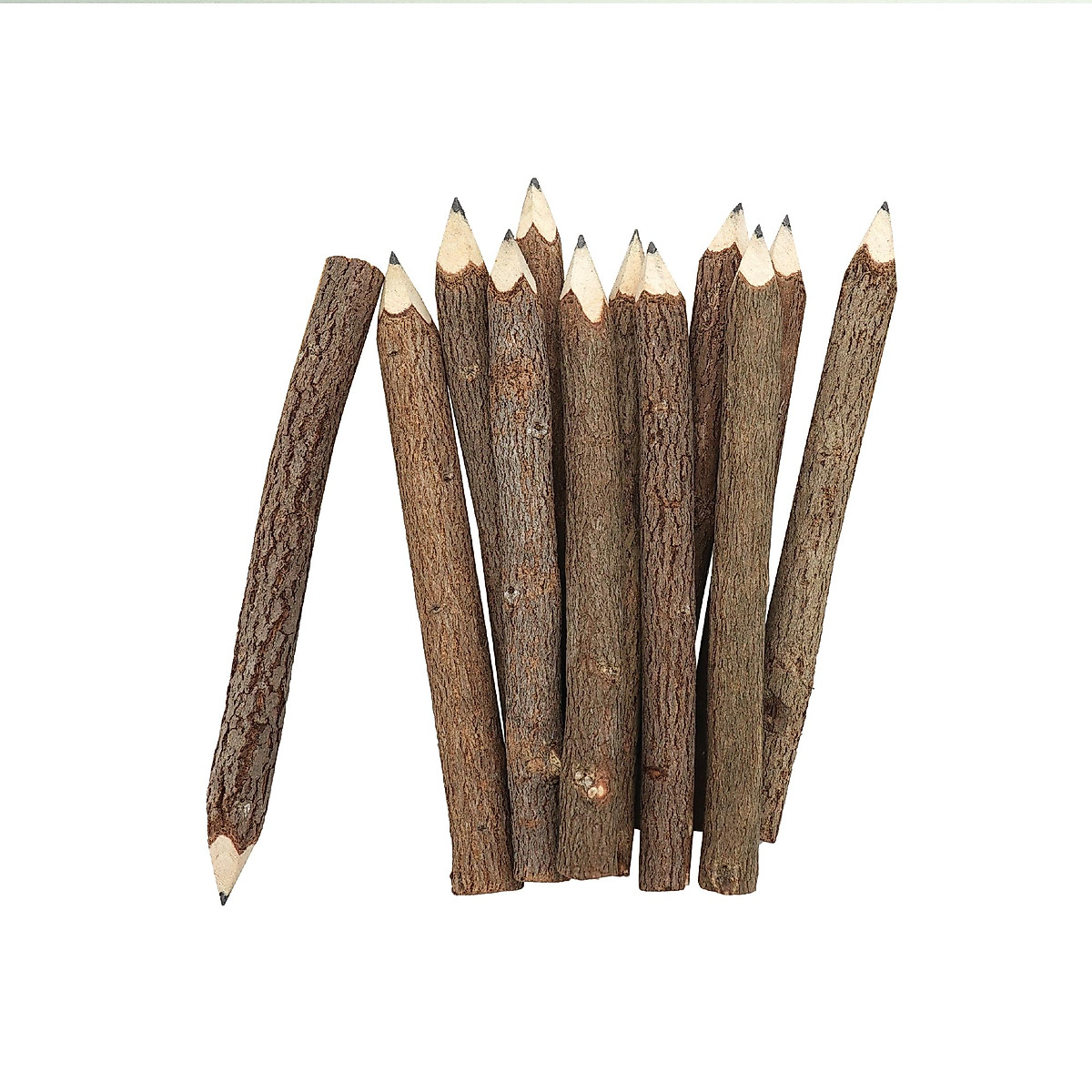 BSIRI Pencil Wood Favors of Graphite Wooden Tree Rustic Twig Pencils Unique Birch of 12 Camping Lumberjack Decorations Party Supplies Novelty Gifts as a Natural Pencil Gifts for Kids in Classroom