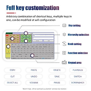 SHYEKYO 12 Keys Programmable Keyboard,Multifunctional USB Mechanical Gaming Keyboard,One-Hand Macro Mechanical Keyboard with Memory Function,for Editing,Gaming,Industry,Office,Speculate in Stocks