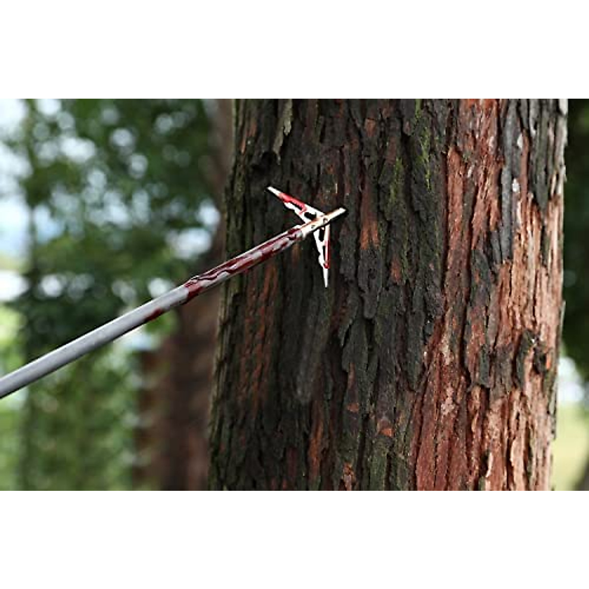 MAXONE 6 Pack Mechanical Broadhead, 2 Blade Broadhead, Hunting Broadhead 100grain, 2" Cutting Archery Broadhead Reusable for Compound Bow Hunting