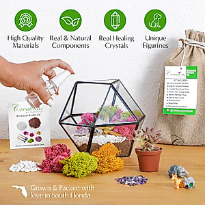 Creations by Nathalie – Premium Small DIY Succulent, Cactus, or Air Plant Terrarium Kit with Soil, Moss, Pebbles, Terrarium Tools, Amethyst Gem, Crystal Chips - Handmade in USA