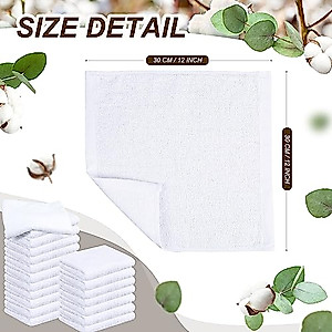 300 Pcs Cotton Terry Towel Bulk Cleaning Cloths White Cotton Terry Cloth for Cleaning Bar Rags Bulk High Absorbent Multipurpose Terry Shop Towels or Home, Kitchen, Automotive, Garage (12 x 12 Inch)