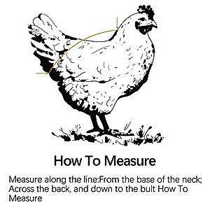 VIVEKATT Chicken Diaper, Pet Diaper for Chook Duck Goose, Washable Pet Diapers Bow Tie Duck Diapers Chicken Diaper for Poultry, 1 Count (Pack of 1)