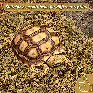 ZeeDix 2QT Dried Moss for Potted Plants Terrarium Decor Plant Natural Sphagnum Moss Potting Mix Soil for Carnivorous Plant, Orchid, Sarracenia, Succulent, Reptiles