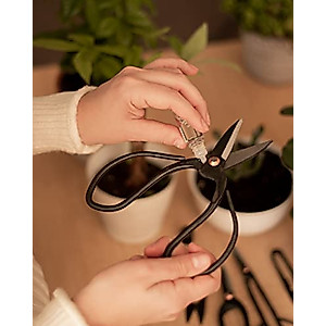 UaiEm Bonsai Tools Set | 13-piece DIY Bonsai Tree Kit with Mini Pruning Shears Concave Cutter, Bonsai Scissors, Bonsai Training Wire, Storage Bag | Carbon Steel Garden Trimming Tools | Bonsai Tool Kit