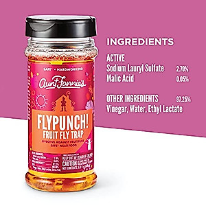 Aunt Fannie’s FlyPunch Fruit Fly Trap (2 Pack): for Indoor and Kitchen Use – Made with Plant Based Ingredients