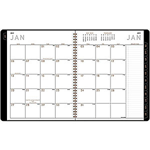 AT-A-GLANCE Weekly / Monthly Appointment Book / Planner 2019, 8.25 x 10.88 Inches, Contemporary, Graphite (70-950X-45)