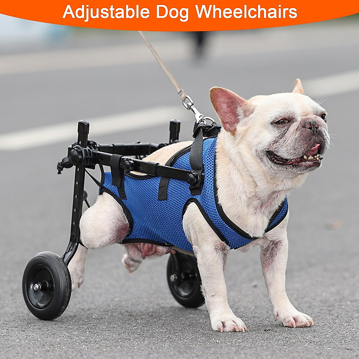 Dog Wheelchair for Back Legs, Adjustable Dog Wheelchairs with 2 Wheels, Dog Wheelchair Cart for Hip Support, Mobility Aids for Small Pets Hind Limbs (Middle)
