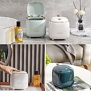 Tabletop Trash Can with Lid, 1 Gallon/4 Liter Mini Plastic Wastebasket Rubbish Bin, Portable Countertop Garbage Can with Removable Inner for Bathroom Dresser, Living Room, Office, Car(Light Green)