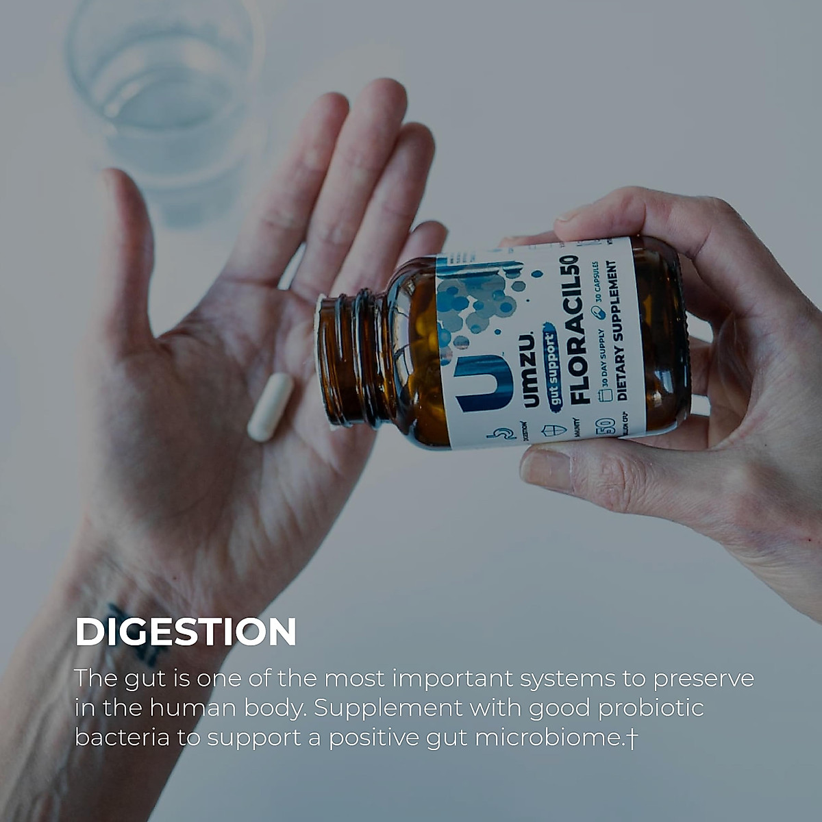 UMZU Floracil50 - 50 Billion CFU - Support Gut Health, Immune System & Digestion - With Lactobacillus reuteri, Lactobacillus rhamnosus & Bifidobacterium - 30 Day Supply - 30 Capsules