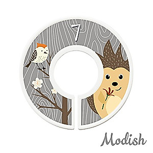 Modish Labels Kids Clothes Size Dividers, Clothes Organizer for Kids, Size Dividers, Closet Organizer System, Closet Dividers, School Clothes, Boy, Woodland, Fox, Bear, Owl, Hedgehog (Toddler/Child)