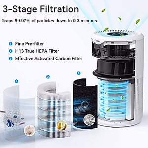Air Purifiers for Home Large Room 1345 Ft², Tailulu H13 True HEPA Air Cleaner with Replacement Filter Purify Smoke Dust Pollen for Bedroom Living Room, Only for D09 Air Purfiier