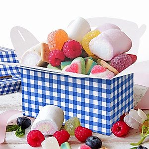 Blue and White Gingham Treat Boxes 24 Pieces Candy Gable Boxes Goodies Boxes Cardboard Present Boxes with Handles for Birthday Party Family Dinner Picnic Barbecue Father's Day Party