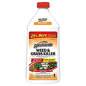Spectracide Weed And Grass Killer Concentrate 40 Ounces, Use On Patios, Walkways And Driveways