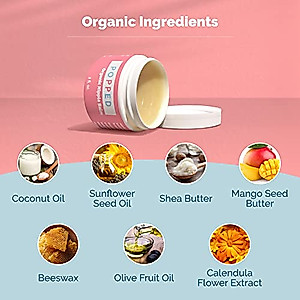 Popped Organic Nipple Butter | Moisturizing Nipple Cream for Sore, Dry, and Cracked Nipples | Postpartum Essential Balm for Breastfeeding, Nursing (2 fl oz)