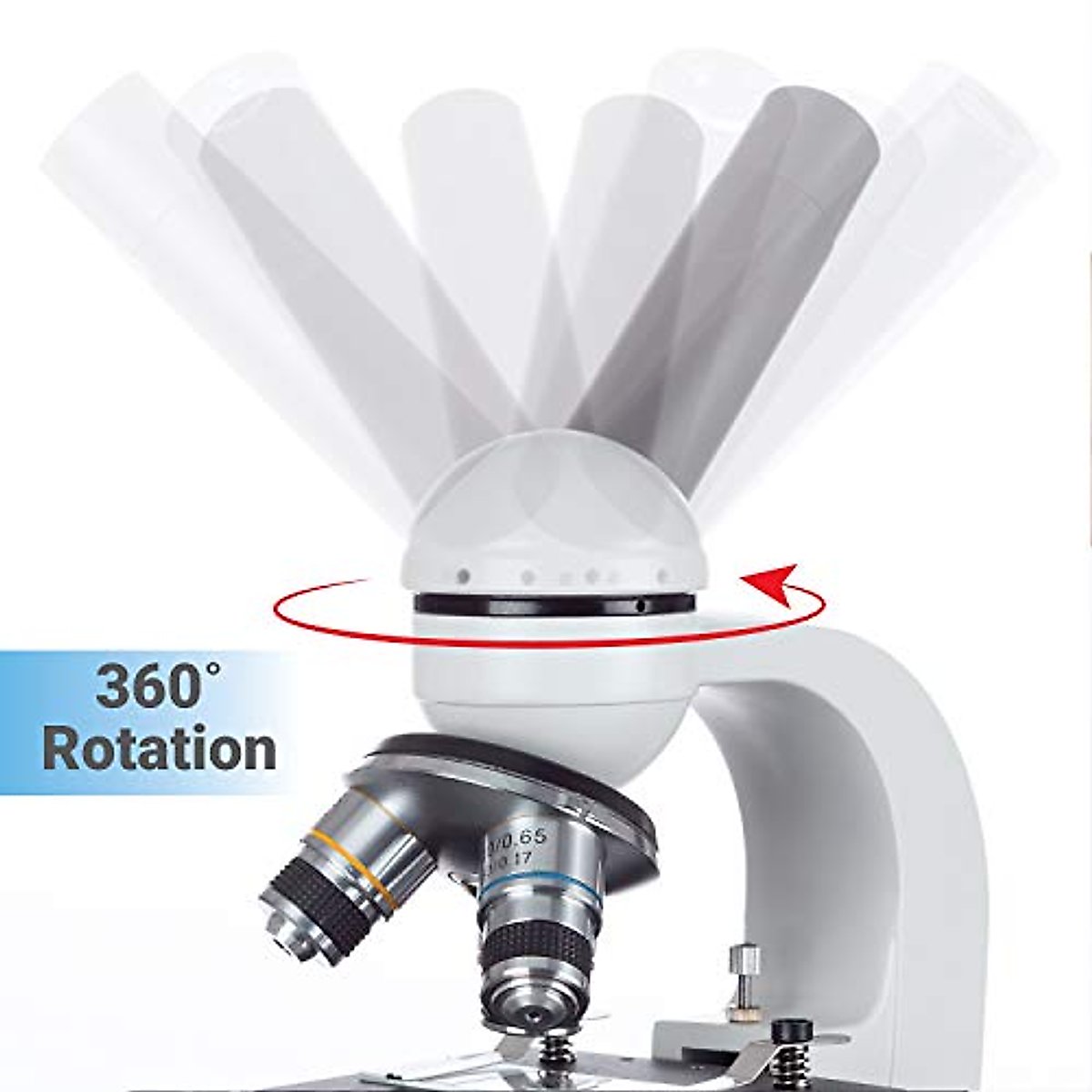 AmScope M150C-E-A 40X-1000X LED Cordless All-Metal Framework Full-Glass Optical Lens Student Compound Microscope with Coarse & Fine Focusing + Digital Camera USB Imager