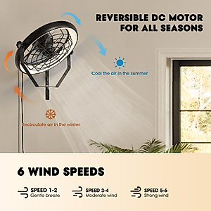 Fansconce Wall Mounted Fan with Lights, 23” Wall Mount Fan with Remote, 6 Speeds Plug in Wall Fan, Reversible, 3CCT, Dimmable, Noiseless, 360°Adjustable Tilt for Workshop, Patio, Home