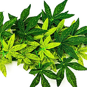 AQUA KT Reptile Plant Jungle Vine with Suction Cup for Snake Lizard Bearded Dragon Climbing Terrarium Habitat Decoration, 12 Inch Length, Green