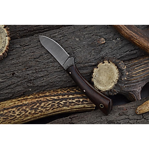 Knives Ranch Damascus Skinning Knife, Fixed Blade Hunting Knife with Rosewood Handle and Heavy-Duty Dual Horizontal/Vertical Sheath (3129-IRW)