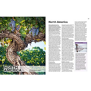 The World Atlas of Wine 8th Edition