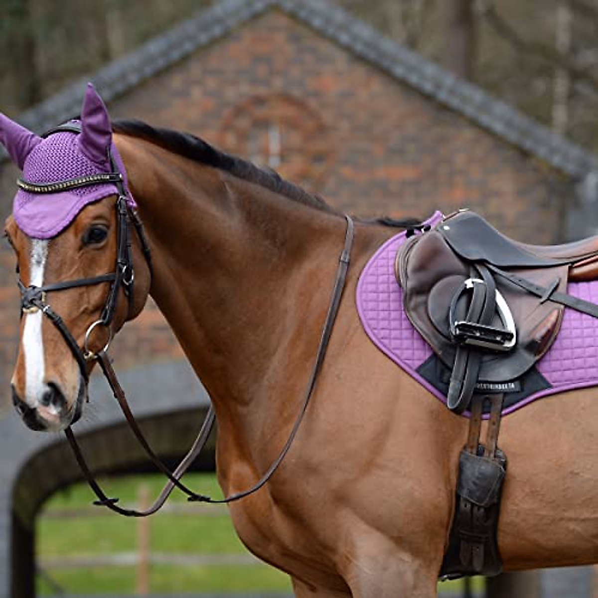 Weatherbeeta Prime Jump Shaped Saddle Pad, Mulberry, Full