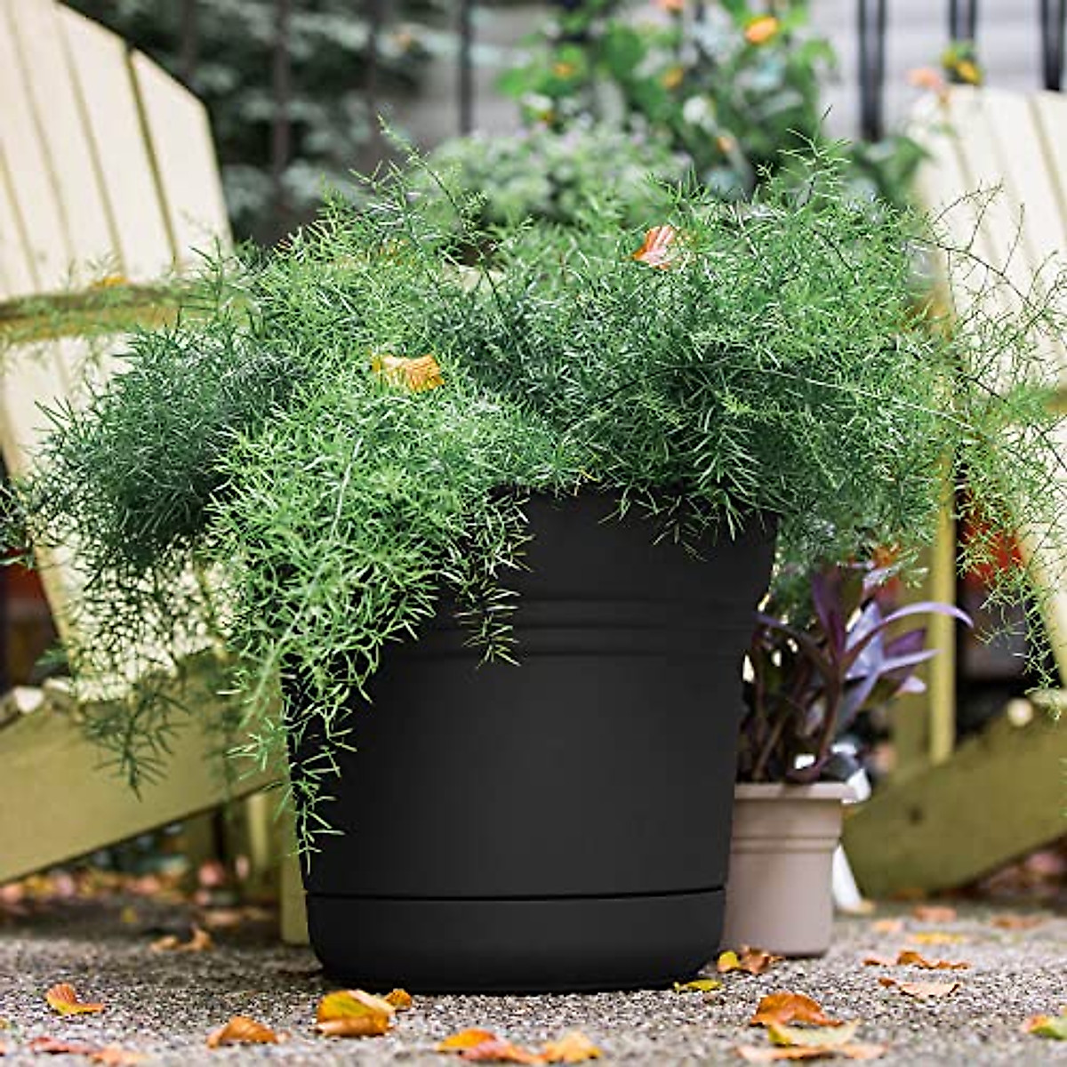 Bloem Saturn Round Planter with Saucer Tray: 12" - Black - Durable Plastic Pot, Matte Finish, Removable Saucer, for Indoor & Outdoor Use, Gardening, 3 Gallon Capacity