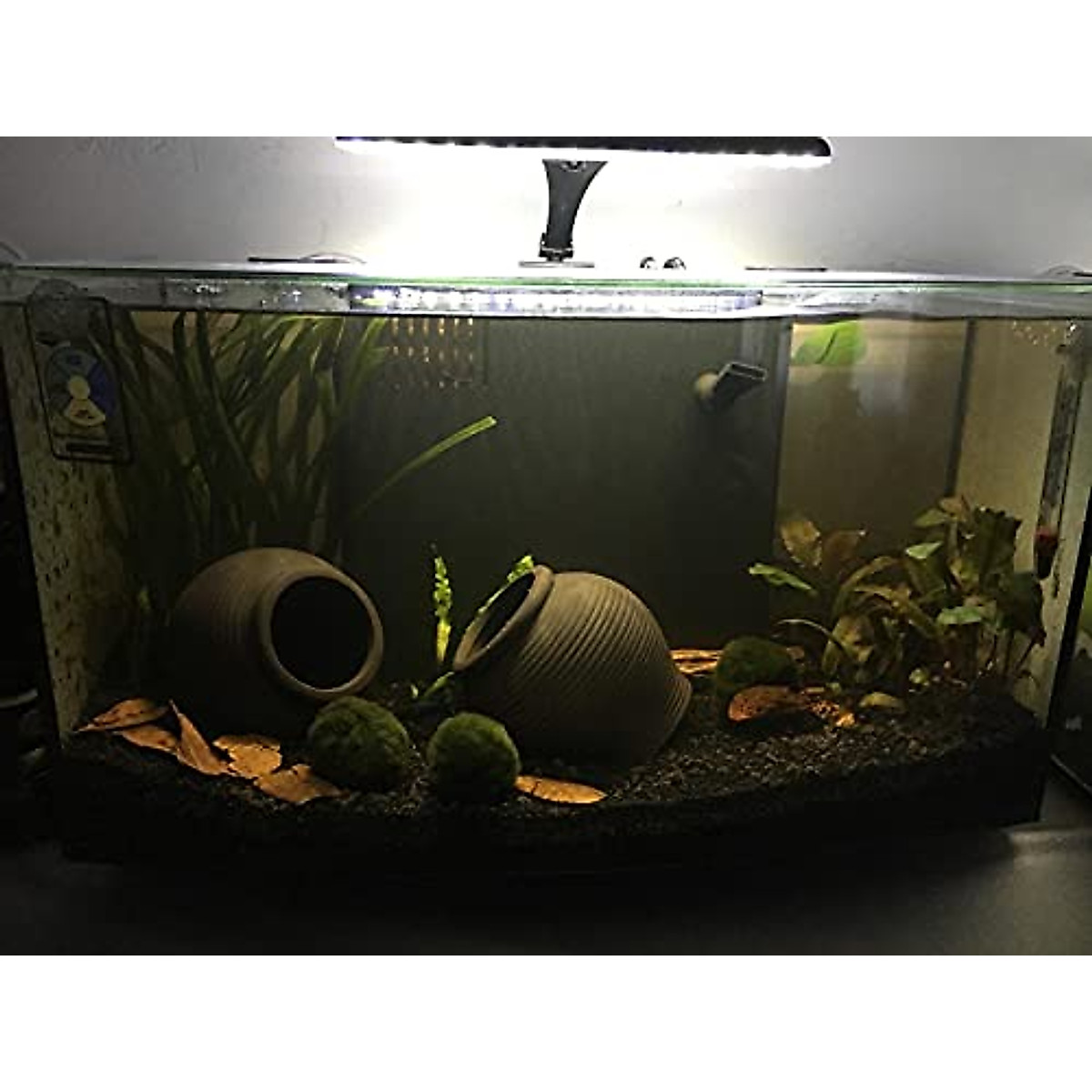 Mairuker Ceramic Jar Aquarium Decoration Fish Shrimp Breeding Cave Fish Tank Ornaments for Betta Fish Amano Shrimp Cichlid to Play,Hide and Rest