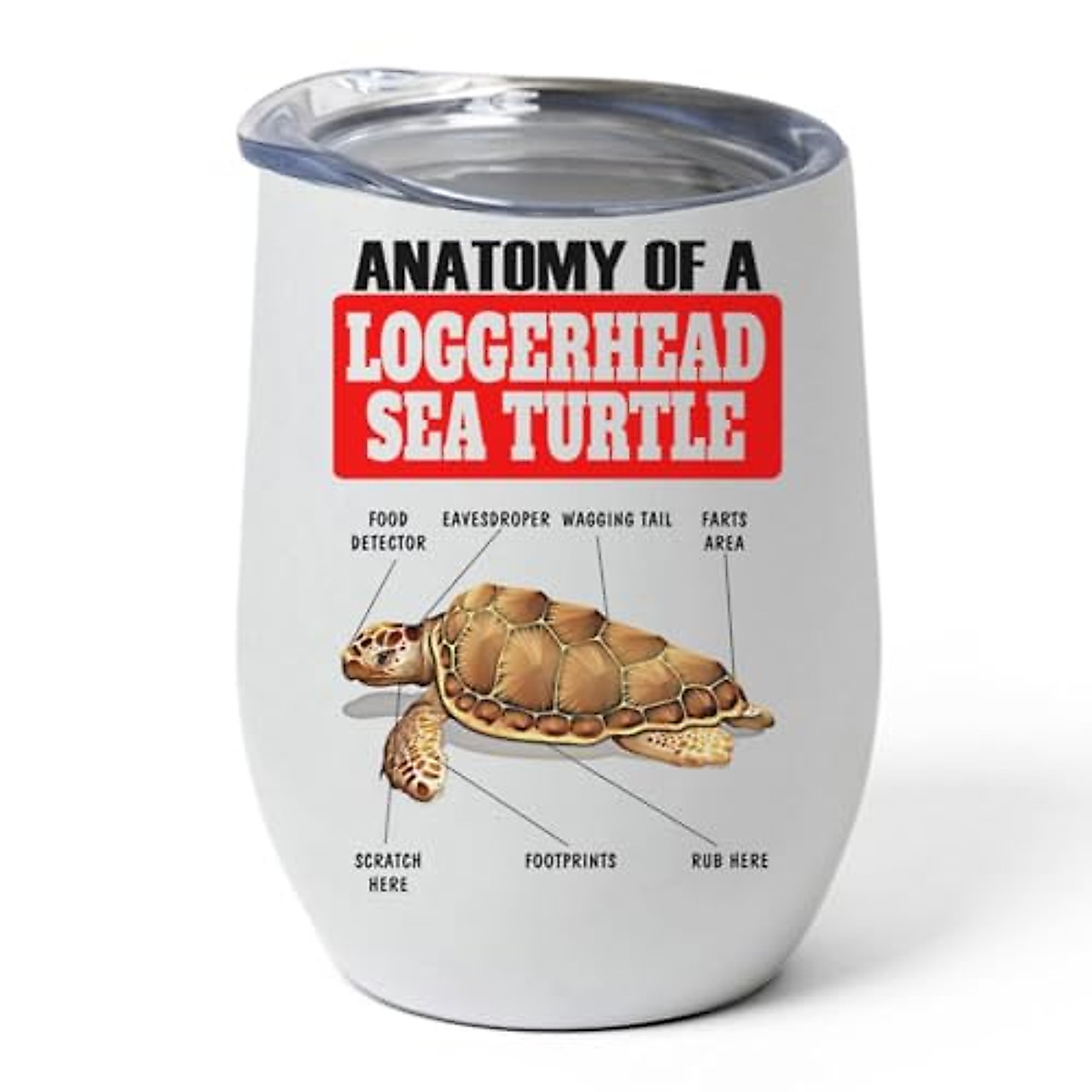 Loggerhead Sea Turtle Tumbler 12oz - Funny Anatomy Chart Design - Stainless Steel Vacuum Insulated Wine Cup With Lid - Gifts for Turtle Lovers