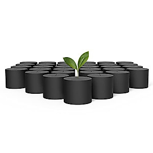 AC Infinity Clone Collar 3-Inch, Cloner Inserts with 8-Spoke Design, 50-Pack for Use with Net Cups in Hydroponics Growing Systems, Aeroponics, Cloning Machines, and Home Gardening