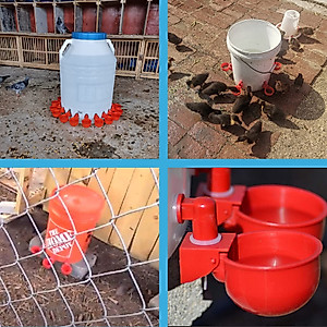 Cocoyeye 6 Pack Chicken Waterer Cups, DIY Chicken Water Feeder, 3/8 Inch Automatic Filling Water Poultry Drinking Bowl Split Type for Ducks, Turkeys,Goose，Birds (6)