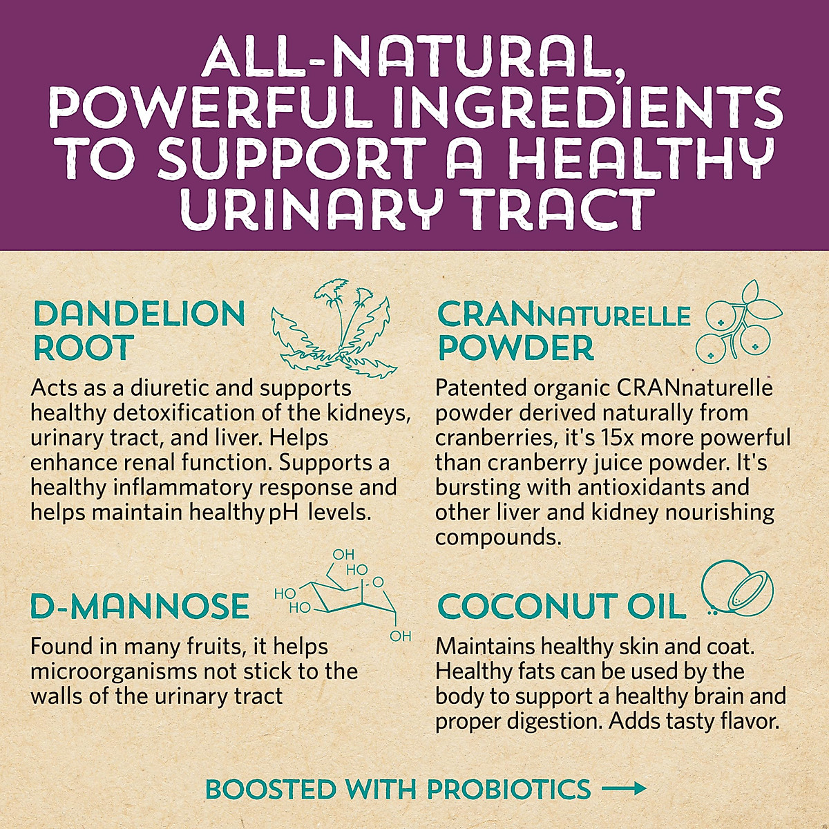 Meowbiotics Kitty P. Freely Cat Urinary Supplement, Cranberry for Cats, Cat UTI & Cat Kidney Support Powder Probiotics for Cats, Made in USA (30 Days)