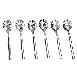 Idomy 12-Piece Stainless Steel Shell Shape Sugar Spoon