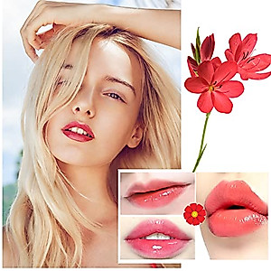 2 Pack Crystal Flower Jelly Lipstick,Magic Color Changing, PH Clear Temperature Lip Gloss/Balm,Long Lasting Nourishing Moisturizing Lip Stick (Set A)