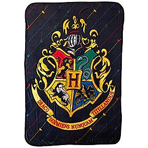 Northwest Micro Raschel Throw Blanket, 46 x 60 Inches, Multicolor