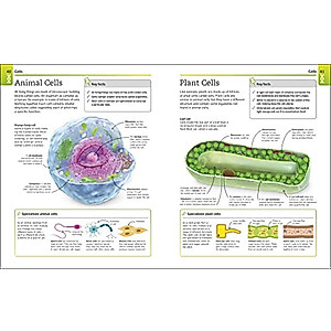Super Simple Biology: The Ultimate Bitesize Study Guide (DK Super Simple)