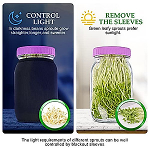 EOUOBOMO Sprouting Kit,Sprouting Jar Kit,Sprouts Growing Kit w.Wide Mouth Mason Jar,316 Screen Lid, Stand,Tray and Blackout Sleeves,Seed Sprouting Kit for Growing Broccoli, Alfalfa