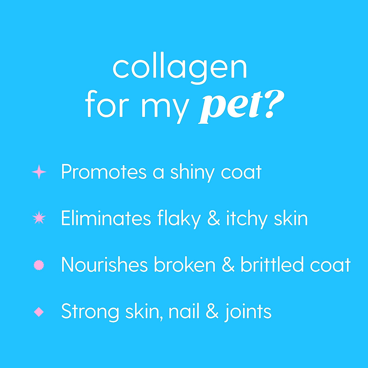 Skin and Coat Supplement for Dogs, Cats | Taily Liquid Collagen for Dogs | Itch Relief for Dogs with Allergies, with Grass Fed Collagen, Biotin, Vitamin C and Hyaluronic Acid | Made in USA