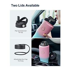 BUZIO Stainless Steel Water Bottle Vacuum Insulated (Cold for 48 Hrs, Hot for 24 Hrs),32oz Tumbler Travel Flask with Straw Lid and Flex Cap, Fit in Any Car Cup Holder,Bubble Gum