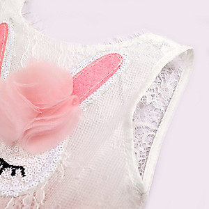 Kids Toddler Baby Girl Easter Outfits Bunny Sleeveless Dress Lace Tutu Skirt One Piece Mesh Summer Princess Sundress (Pink, 1-2T)