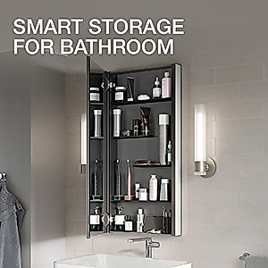 KOHLER K-81148-DA1 Maxstow Frameless Surface Mount Bathroom Medicine Cabinet, 20" x 40", Dark Anodized Aluminum