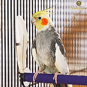 SunGrow 4 Pack Cuttlefish Bones for Cockatiels, Turtles, Shrimp, Dog Calcium Supplement, Cuttlebone Cage Holder Included