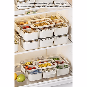 Divided Veggie Tray with Lid and Handle 9 Compartment Serving Tray with Dividers Portable Travel Snack Containers Stackable Snackle Box Charcuterie Container for Fruit,Vegetable,Salad (9 Containers)