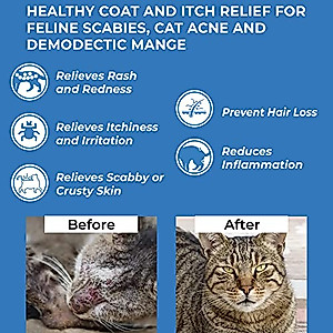 BestLife4Pets Demodectic Mange and Scabies Relief for Cats - Ear Mites & Itch Relief Supplements for Cat Itching Relief - Restores Healthy Feline Coat and Skin - Easy to Use Natural Pills
