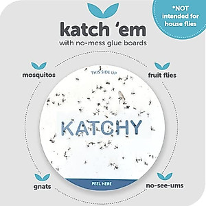KATCHY Indoor Fly Trap Glue Board Refills - Pack of 24 Boards﻿