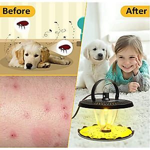 Redeo Flea Trap Refills Discs 8 PCS Sticky Pad Refills 6 Inch Natural Glue Board Replacement for Fleas Bugs, Odorless and Safe for Family and Pets